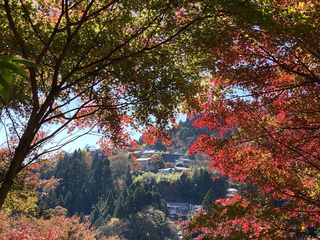 Exploration of West Tokyo – Rural Metropolis – – KEIO TRAVEL AGENCY JAPAN